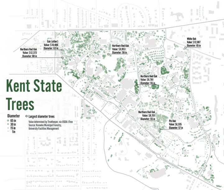Campus trees – Community Geography Collaboratory